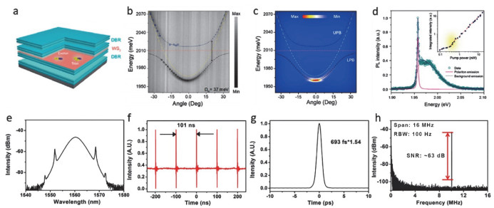 二维材料最新研究进展