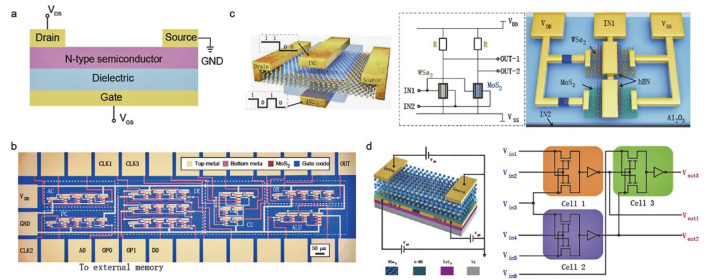 二维材料最新研究进展