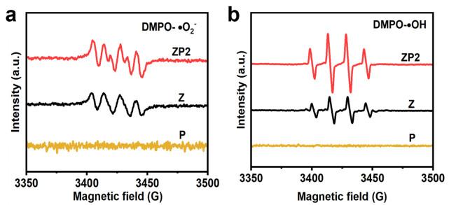 反蛋白石结构ZnO@PDA用于增强光催化产H2O2性能