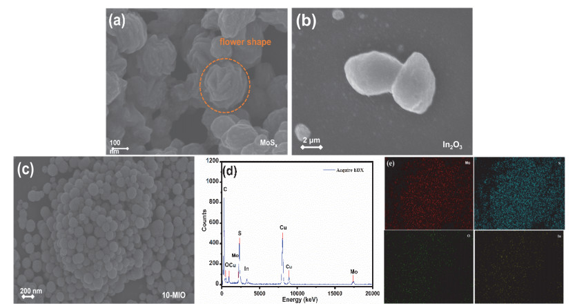 In 2 O 3 修饰三维纳米花MoS x 构建S型异质结用于高效光催化产氢