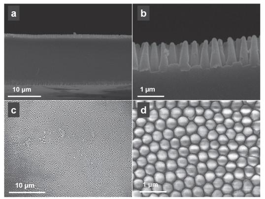碱性聚合物电解质膜的表面锥形阵列结构提升燃料电池性能