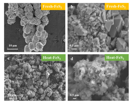 水蒸汽浴FeS 2 高效Fenton降解甲草胺