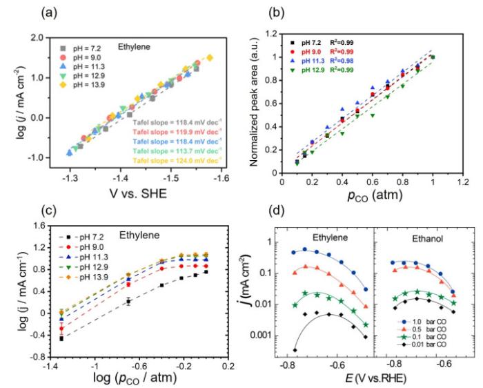 电催化动力学简介