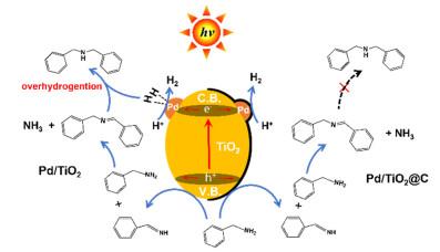 碳包覆Pd/TiO2光催化产氢协同胺类选择性氧化合成亚胺