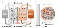 Polymer Particulate "Slurry" Redox Flow Batteries towards Scalable ...