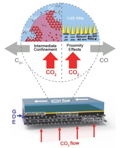 Nanoscale Enrichment Effect Boosts Electrocatalytic Carbon Dioxide Reduction