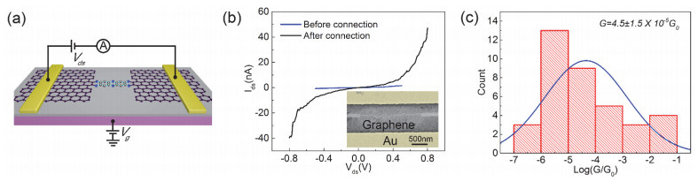 Single-Molecule Field-Effect Transistors with Graphene Electrodes and ...