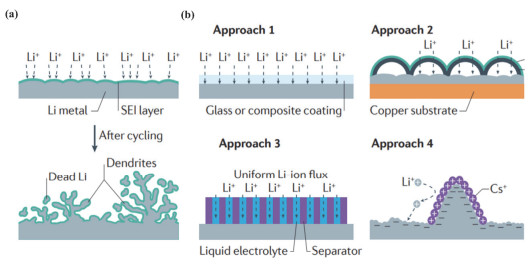 Application of Computational Simulation on the Study of Lithium Metal ...