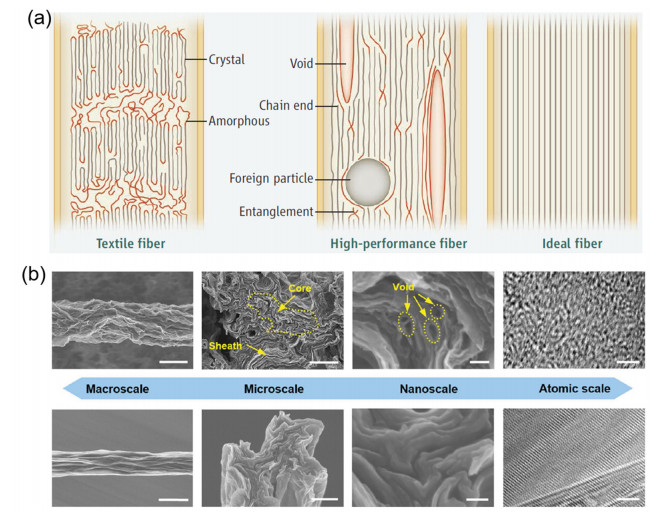 Wet Spinning Assembled Graphene Fiber: Processing, Structure, Property ...