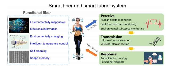 Wet Spinning Assembled Graphene Fiber: Processing, Structure, Property ...