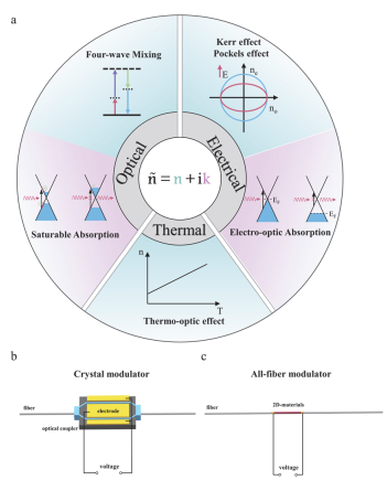 Research Progress of Two-Dimensional Material Hybrid Fiber Modulators