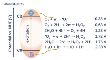 Semiconducting Polymers for Photosynthesis of H 2 O 2 : Spatial ...