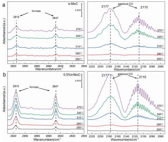 负载Ir单原子和团簇的α-MoC催化剂用于高效催化CO 2 加氢制CO