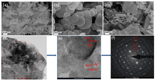 可见光激发的BiOI/ZnO纳米复合抗菌剂制备及其抗菌活性与机制