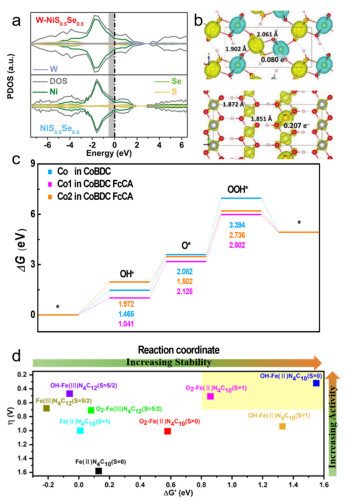 Function of Electron Spin Effect in Electrocatalysts
