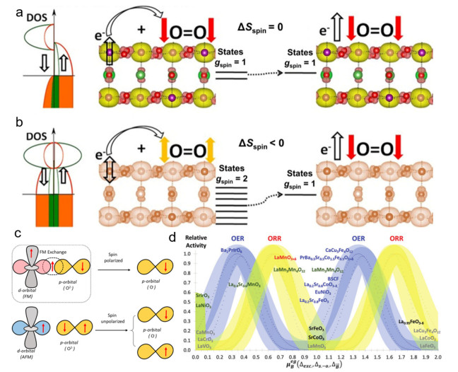 Function of Electron Spin Effect in Electrocatalysts