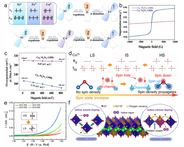 Function of Electron Spin Effect in Electrocatalysts