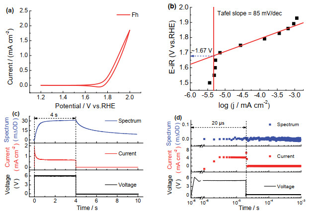 Operando Electrochemical UV-Vis Absorption Spectroscopy with ...