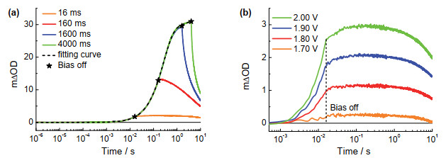 Operando Electrochemical UV-Vis Absorption Spectroscopy with ...