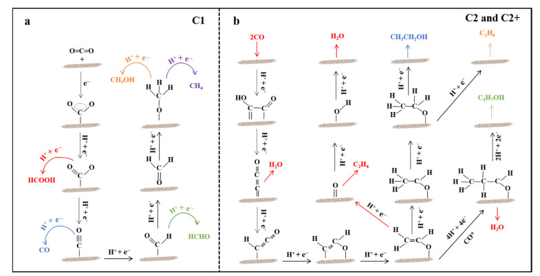 Electronic Structure Regulation of Single-Site M-N-C Electrocatalysts ...