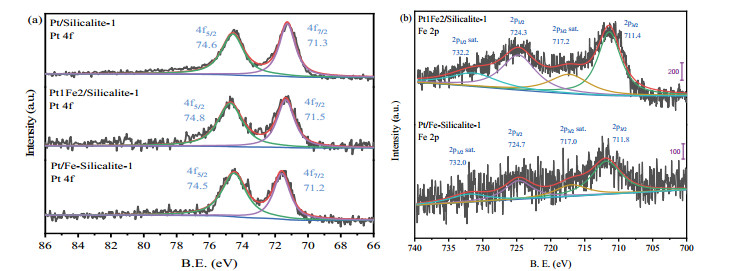 Performance Enhancement of Pt/Silicalite-1 by in situ Doped Fe for ...