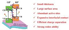 2D S-Scheme Heterojunction Photocatalyst