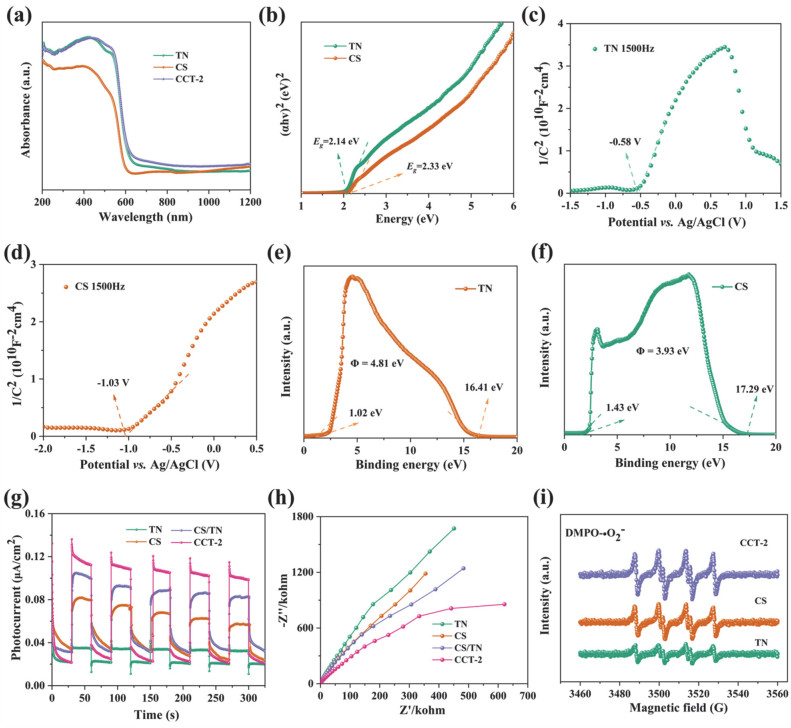 一种新型Carbon Quantum Dots/CdS/Ta 3 N 5 S型异质结纤维光催化材料用于高效降解抗生素