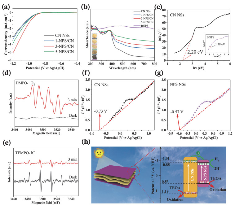 超薄2D/2D NiPS 3 /C 3 N 5 异质结的界面工程促进光催化产氢