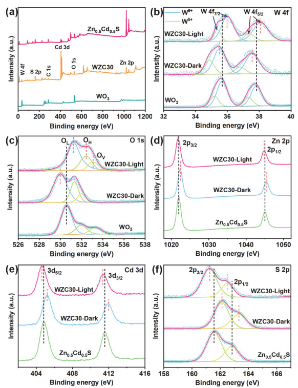 WO 3 /Zn 0.5 Cd 0.5 S S型异质结光催化产氢耦合有机物转化机理研究