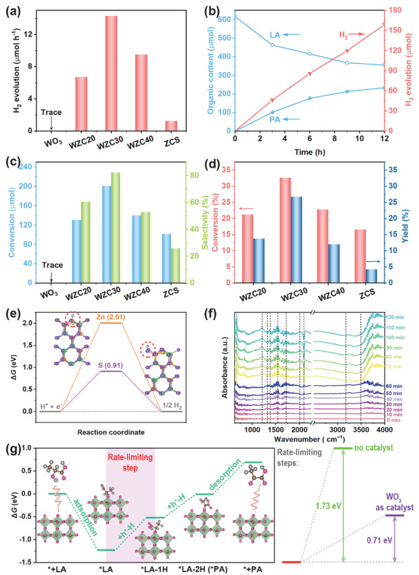 WO 3 /Zn 0.5 Cd 0.5 S S型异质结光催化产氢耦合有机物转化机理研究