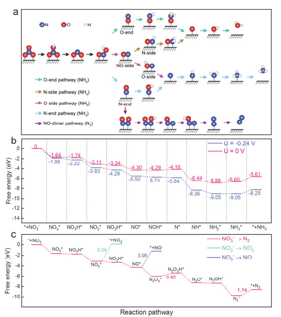 Bi-Layer Single Atom Catalysts Boosted Nitrate-to-Ammonia ...