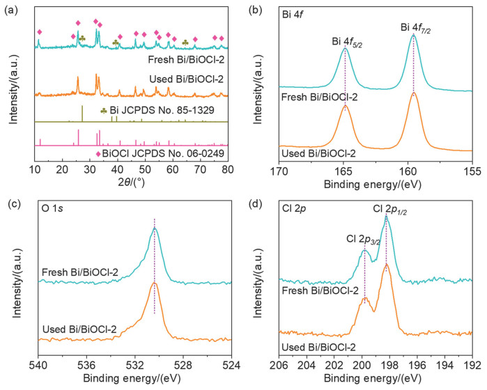 Construction of Bi Nanoparticles Loaded BiOCl Nanosheets Ohmic Junction ...