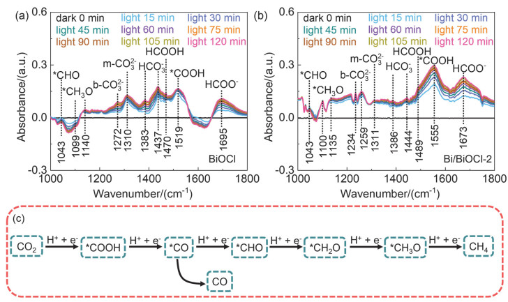 Construction of Bi Nanoparticles Loaded BiOCl Nanosheets Ohmic Junction ...