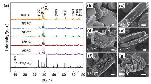 Molten Salt Derived Mo 2 CT x MXene with Excellent Catalytic ...