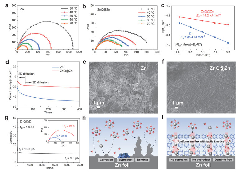 High-Stable Aqueous Zinc Metal Anodes Enabled by an Oriented ZnQ ...