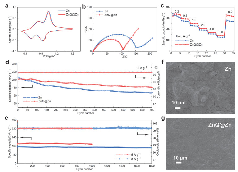 High-Stable Aqueous Zinc Metal Anodes Enabled by an Oriented ZnQ ...