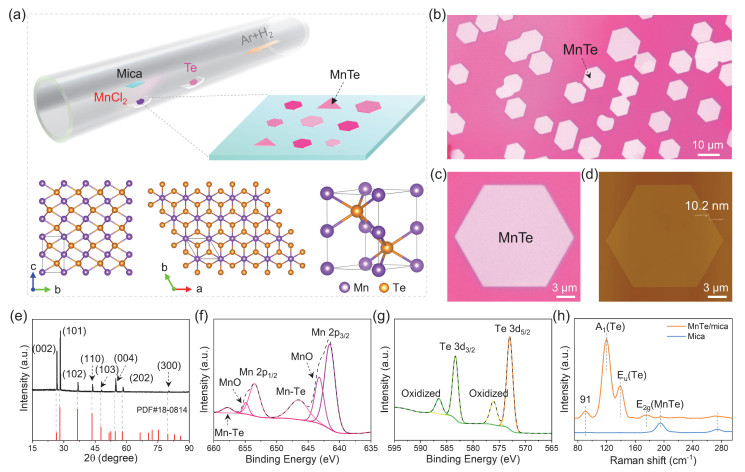 Epitaxial Growth of Nonlayered 2D MnTe Nanosheets with Thickness ...