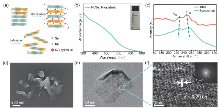 NbSe 2 纳米片优化钙钛矿太阳能电池的埋底界面