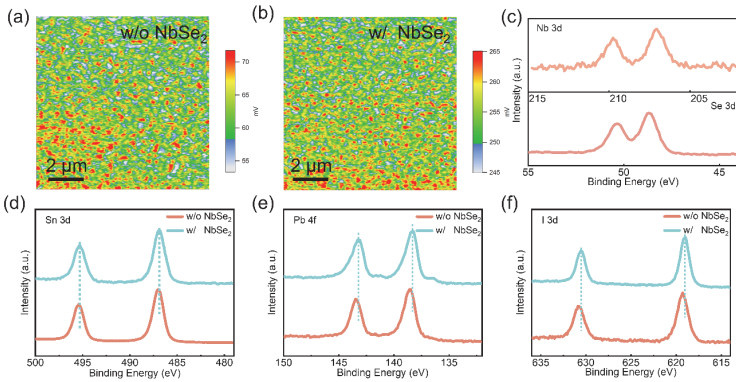 NbSe 2 纳米片优化钙钛矿太阳能电池的埋底界面