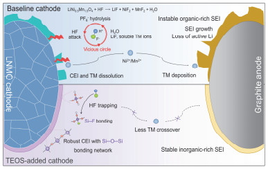 Tailoring Electrode-Electrolyte Interfaces via a Simple Slurry Additive ...