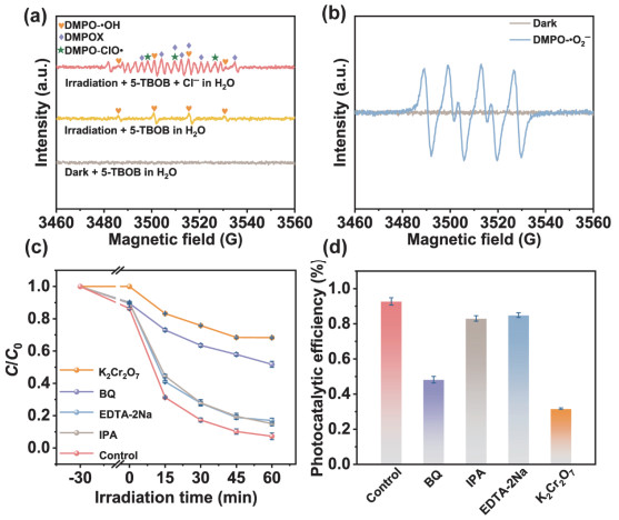 具有光热效应的多级Ti 3 C 2 /Bi 12 O 17 Br 2 肖特基异质结简单合成及其太阳能驱动抗生素光降解的研究
