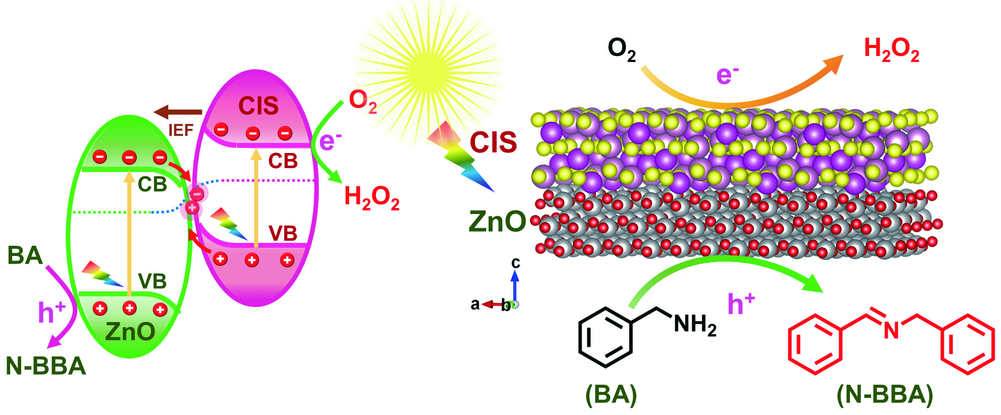 Femtosecond transient absorption spectroscopy investigation on ...