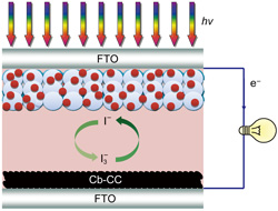 Fabrication and Application of a Carbon Counter Electrode with ...