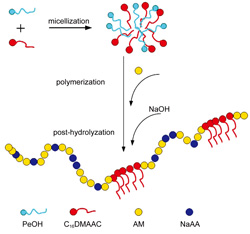 Polymerization of Micro-Block Associative Polymer with Alcohol-Surfmer ...