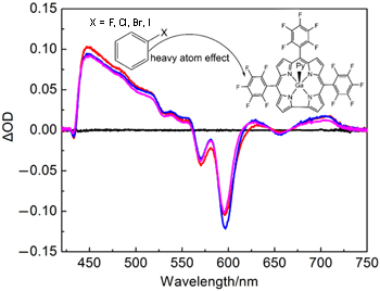 Influence of Halogenated Benzene Solvents on the Photophysical ...
