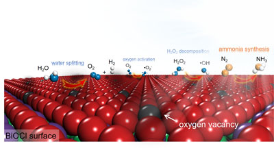 Oxygen Vacancy-Dependent Photocatalysis of Bismuth Oxychloride