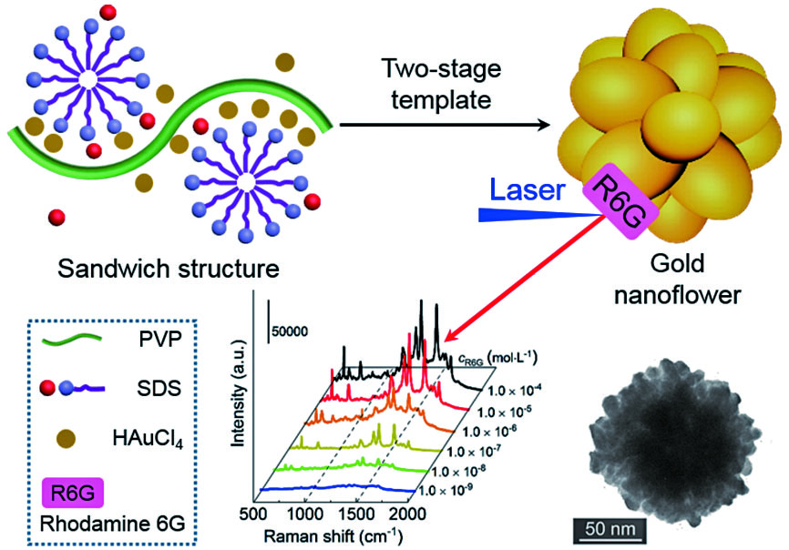 Strategy for Regulating Surface Protrusion of Gold Nanoflowers and ...