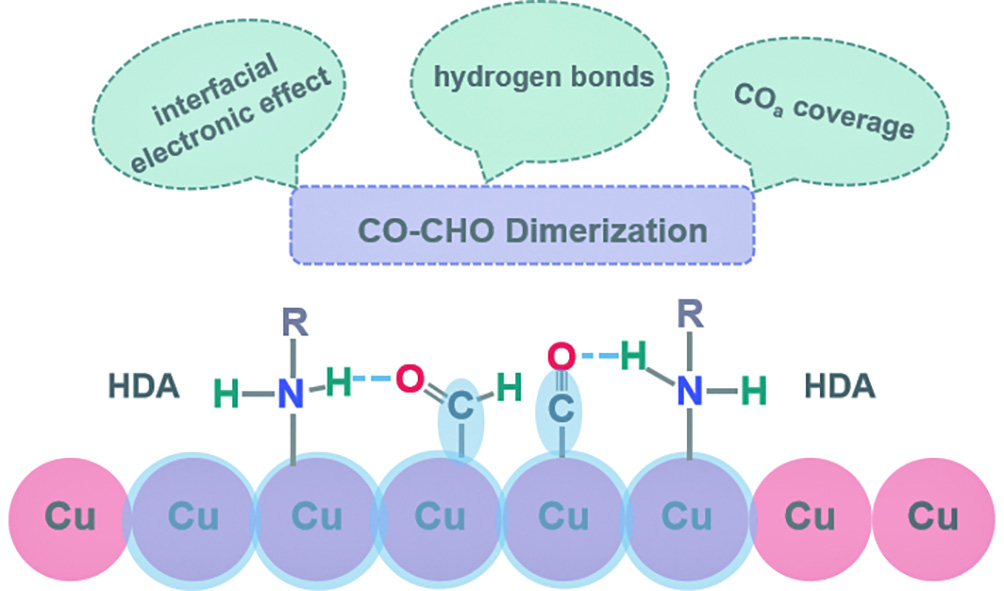 胺功能化的铜催化剂：氢键介导的电化学CO 2 还原为C 2 产物以及优越的可充电Zn-CO 2 电池性能