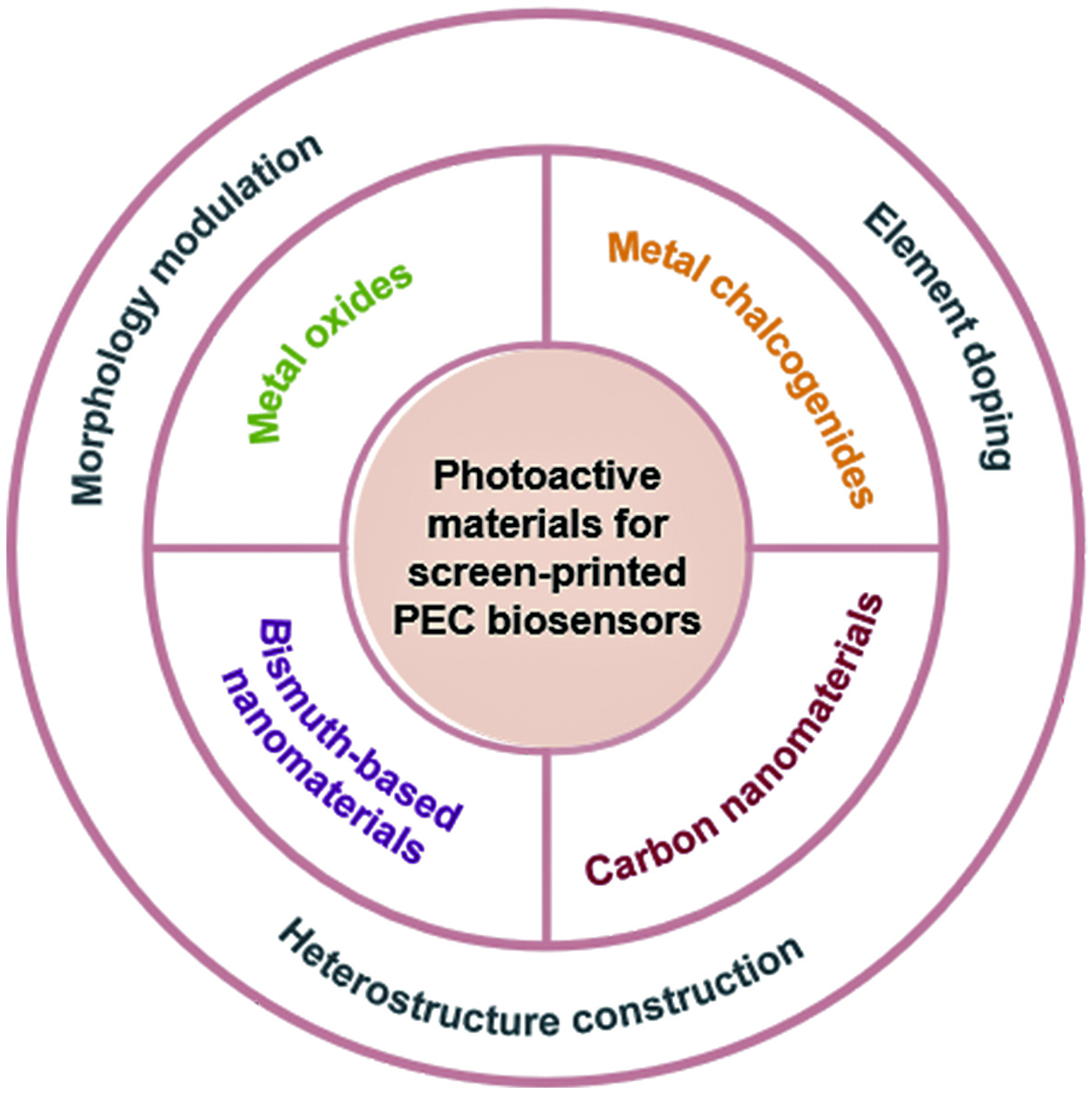 Recent Advances of Functional Nanomaterials for Screen-Printed Photoelectrochemical Biosensors