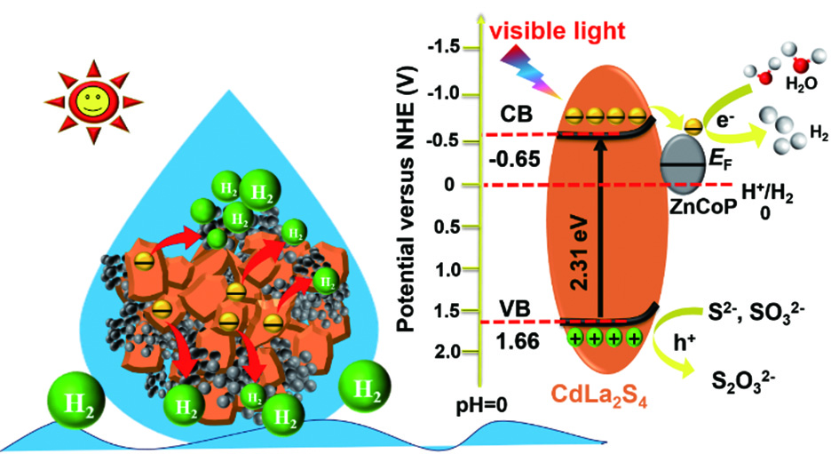 Construction of ZnCoP/CdLa 2 S 4 Schottky Heterojunctions for Enhancing ...